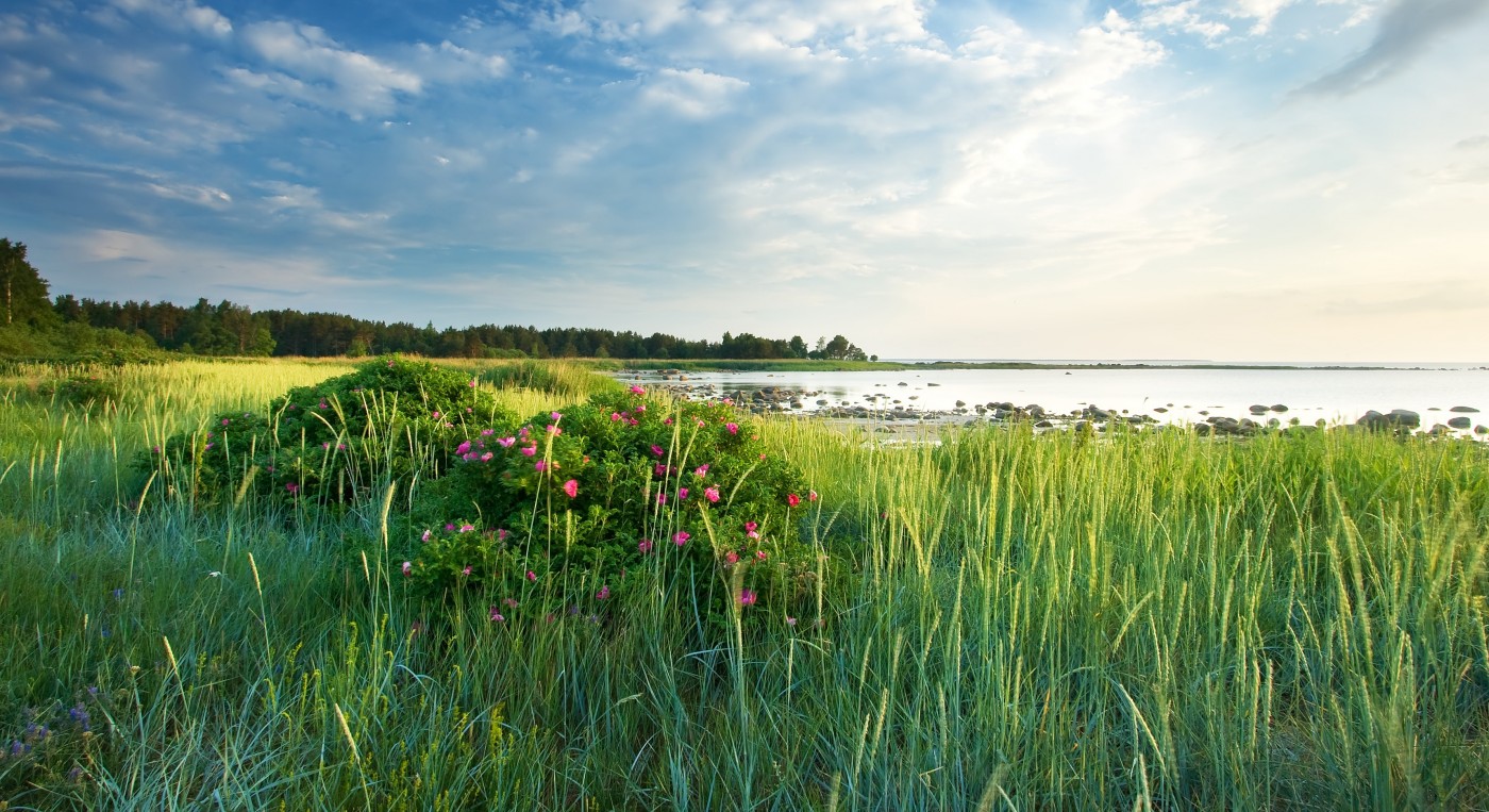 Top 8 Things to Do for Adventure Junkies in the Baltic Islands ⋆ The ...
